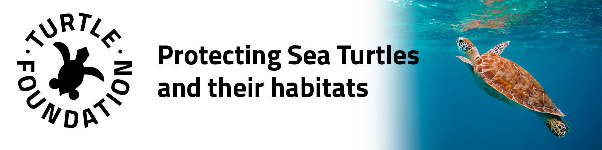 Turtle Foundation UK - Blue Panda